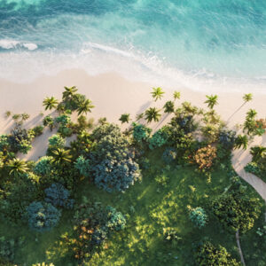 Rio Beach- Premium Beach Gear for Comfort and Style - Fan Website